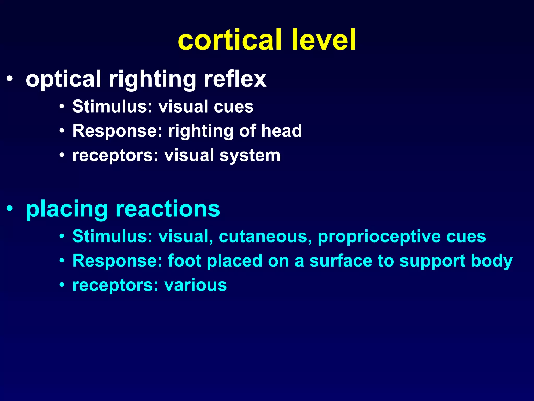 Motor system5 posture | PPT