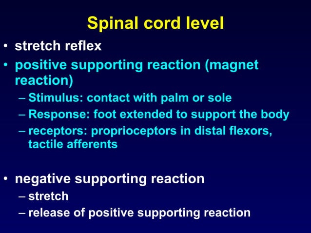 Motor system5 posture | PPT