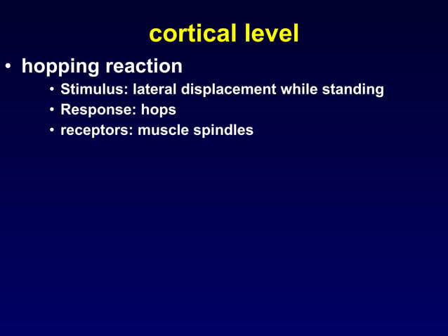Motor system5 posture | PPT