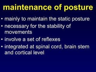 Motor system5 posture | PPT