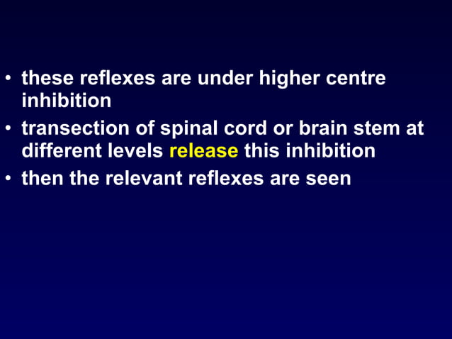 Motor system5 posture | PPT