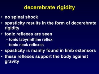 Decerebrate Rigidity