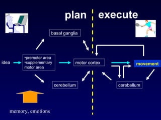 Motor system6 overview3 | PPT