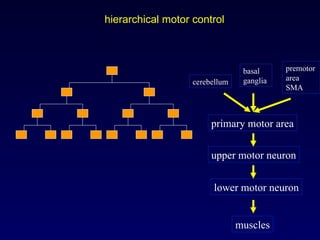 Motor system6 overview3 | PPT