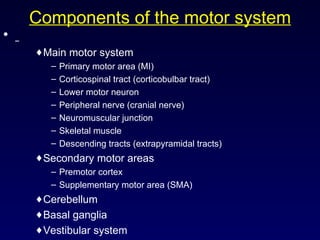 Motor system6 overview3 | PPT
