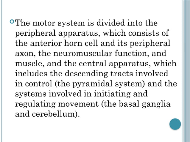 Motor system and Reflex nervous system.pptx