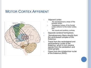 Motor system corticospinal | PPTX
