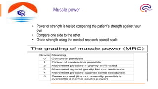 motor system examination.pptx