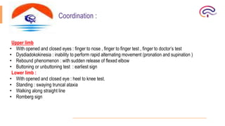 motor system examination.pptx