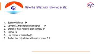 motor system examination.pptx