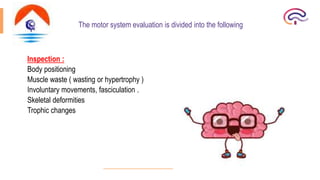 motor system examination.pptx