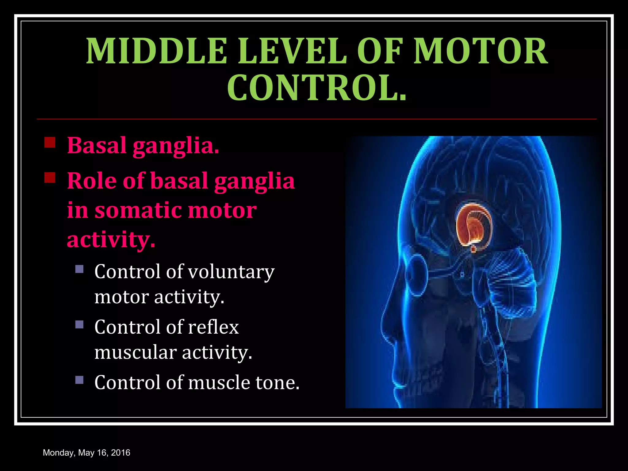 MOTOR SYSTEM SPINAL CORD | PPT