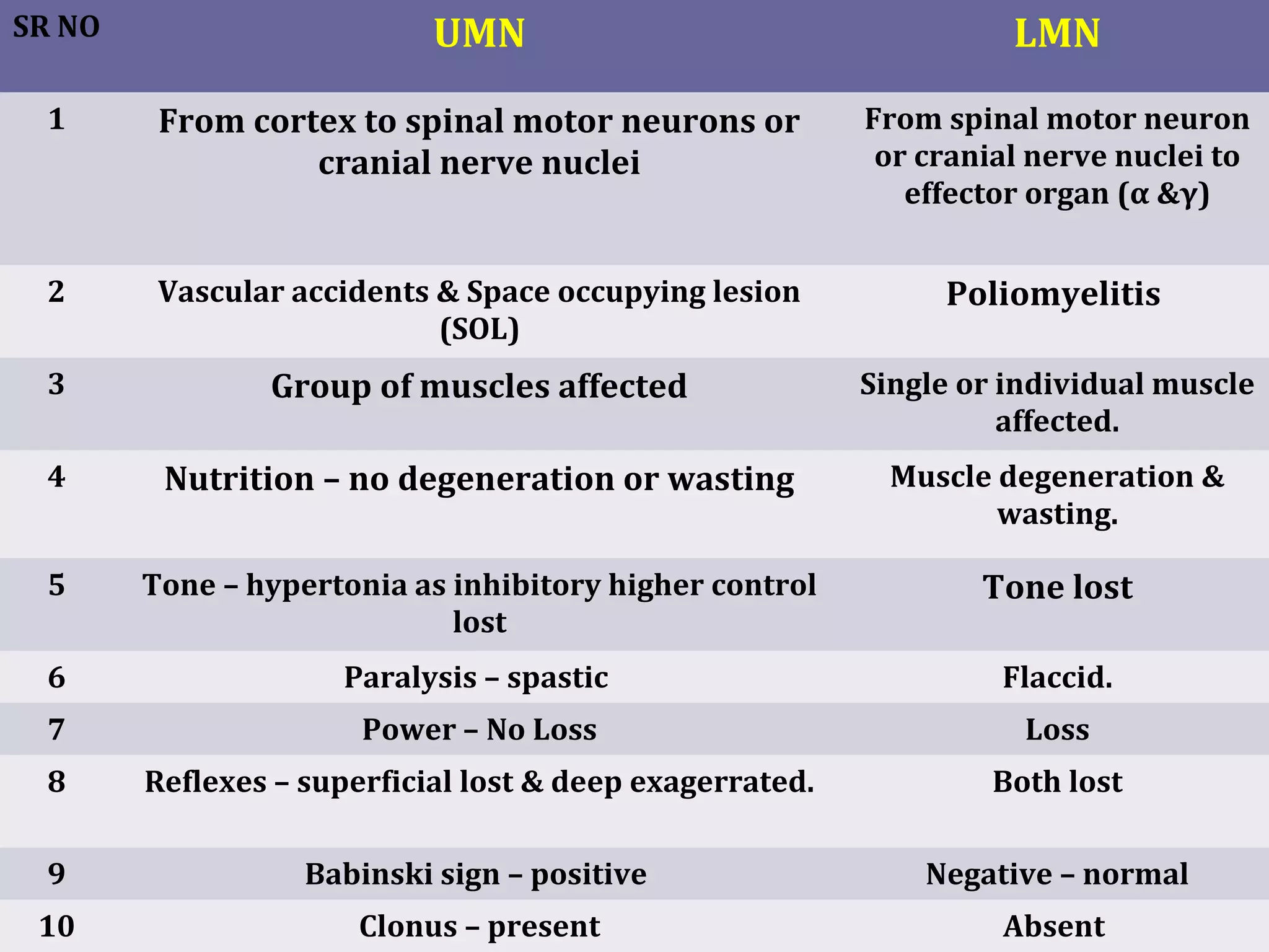 MOTOR SYSTEM SPINAL CORD | PPT