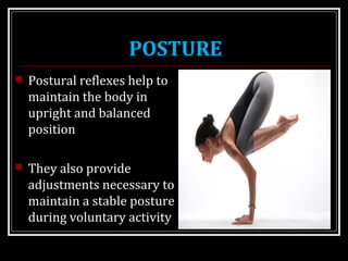 MOTOR SYSTEM IV REGULATION OF POSTURE | PPT