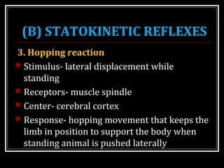 MOTOR SYSTEM IV REGULATION OF POSTURE | PPT