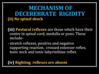 MOTOR SYSTEM IV REGULATION OF POSTURE | PPT