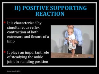 Positive Support Reflex