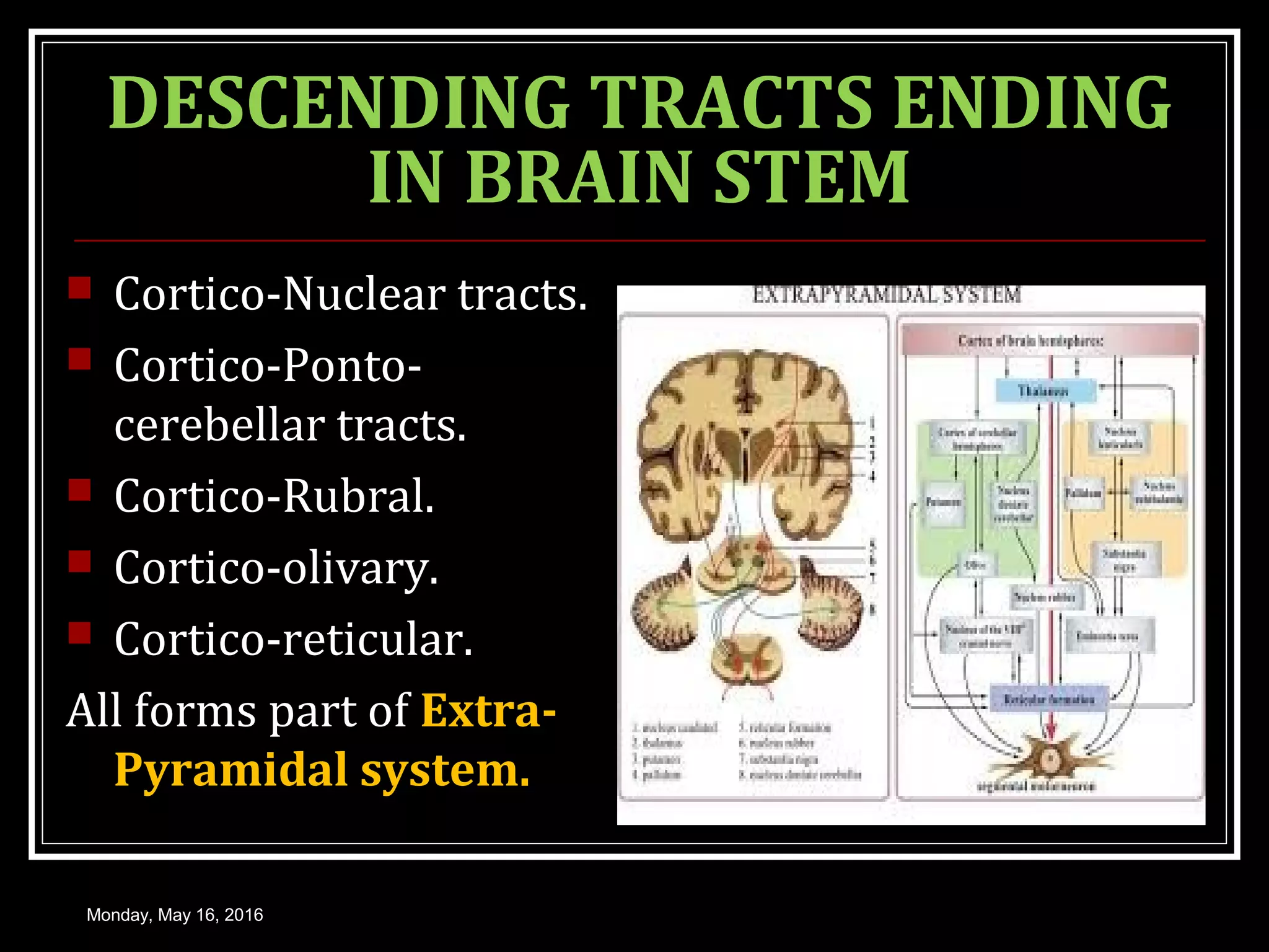 MOTOR SYSTEM MOTOR TRACTS | PPT