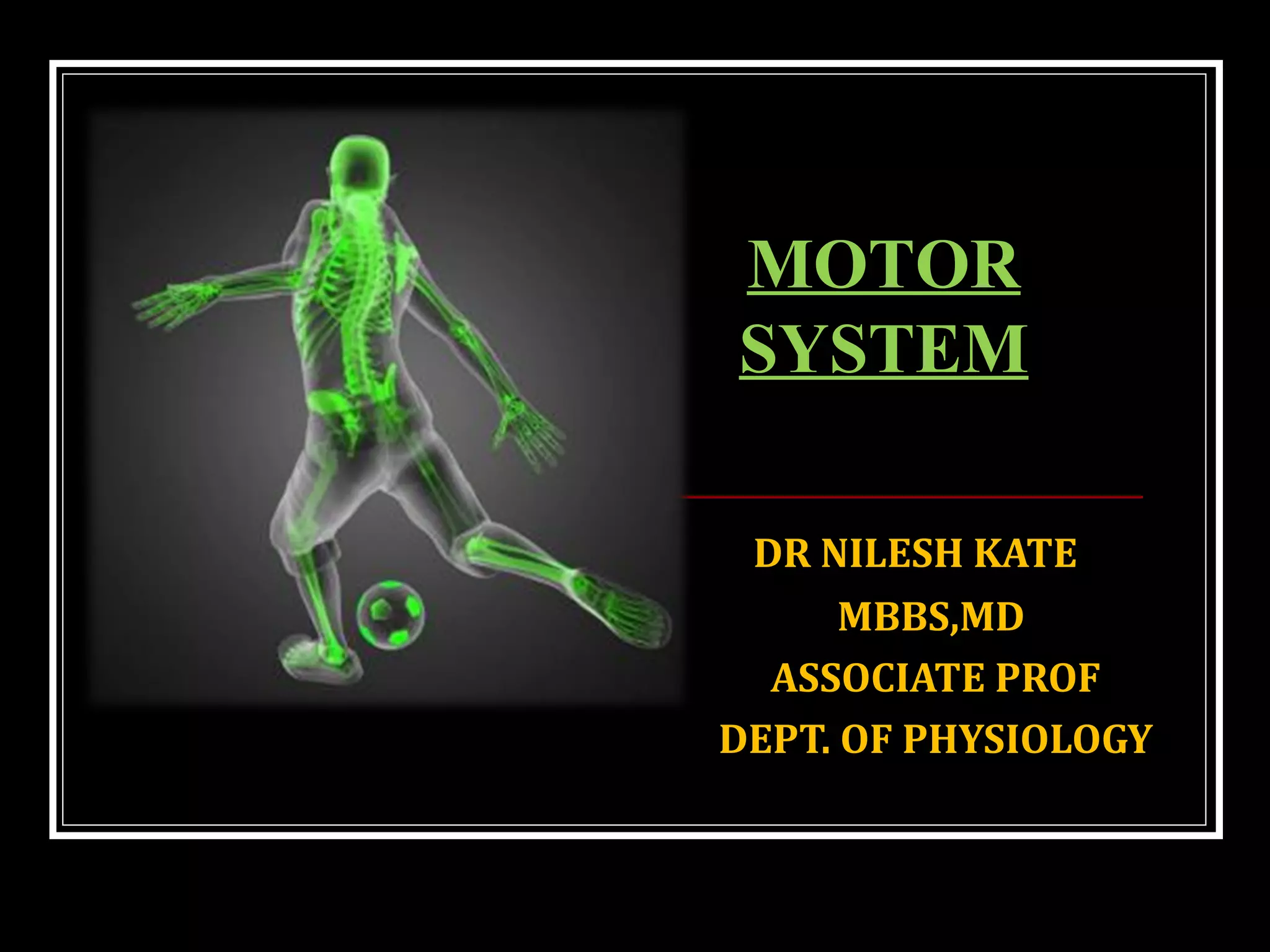 MOTOR SYSTEM MOTOR TRACTS | PPT