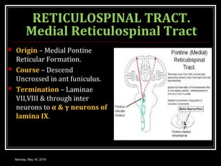 MOTOR SYSTEM MOTOR TRACTS | PPT