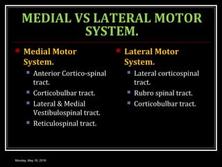 MOTOR SYSTEM MOTOR TRACTS | PPT