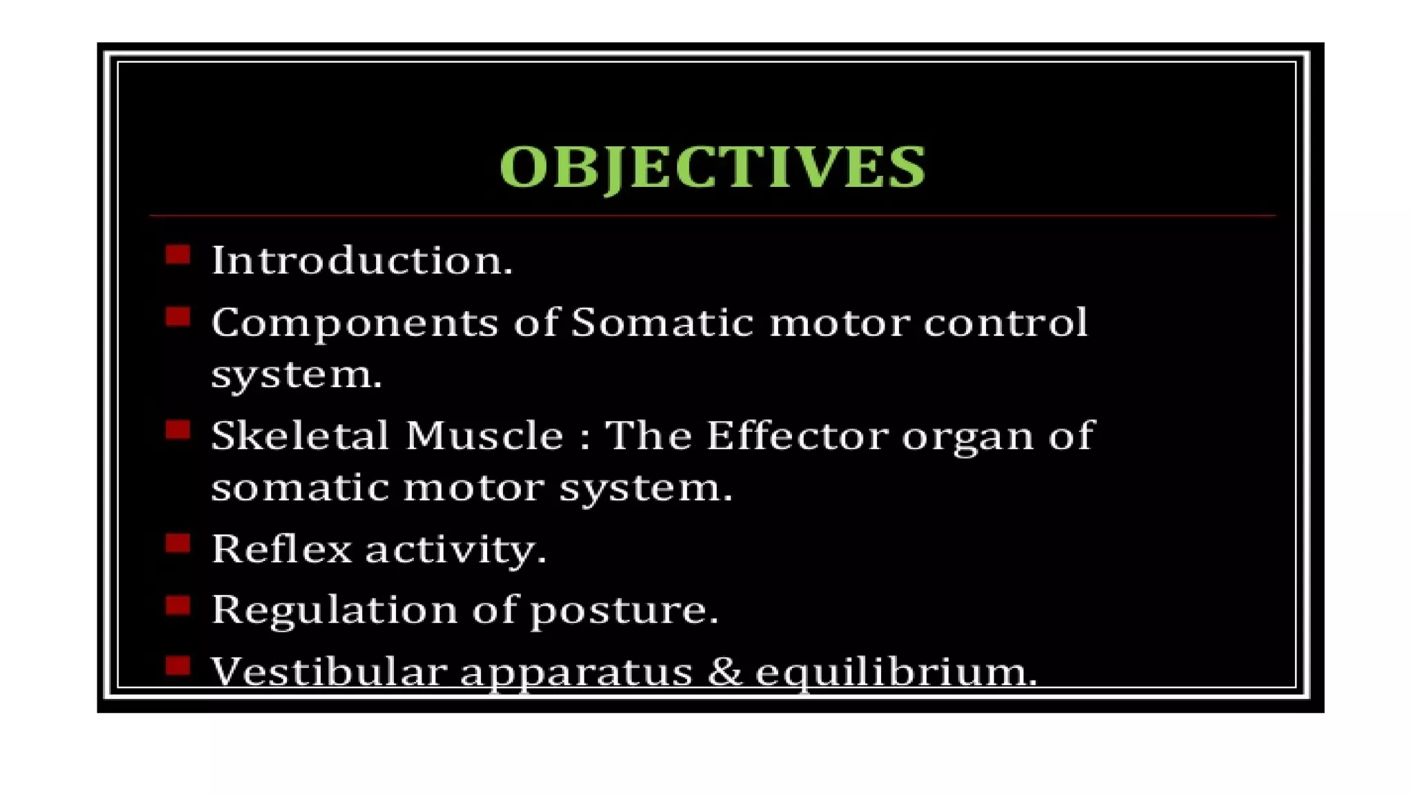 Motor System of Human Being.drjma | PDF