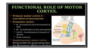 Motor system of human being-Part 1.drjma.pdf