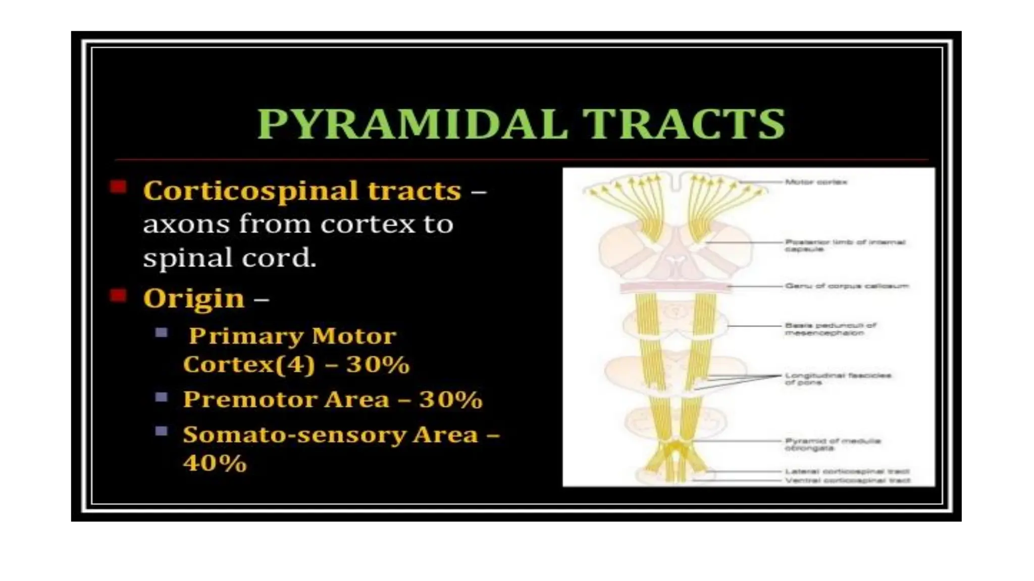 Motor system of human being- PART 2..drjma.pdf