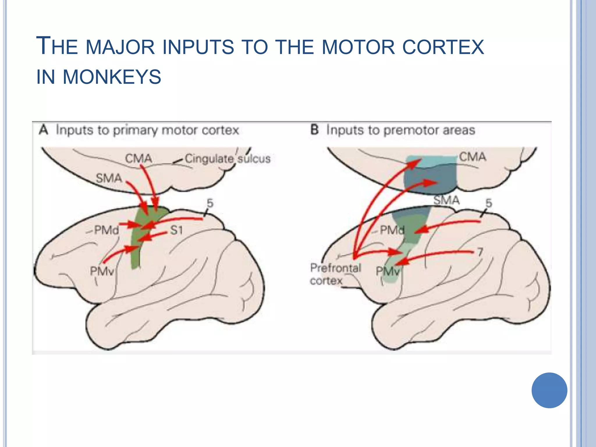 Motor system overview | PPTX