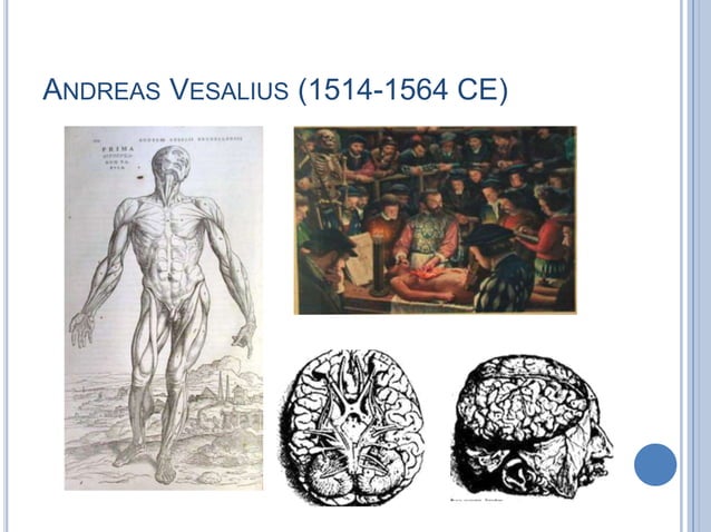 Motor system overview | PPTX | Brain and Nervous System Disorders | Diseases and Conditions