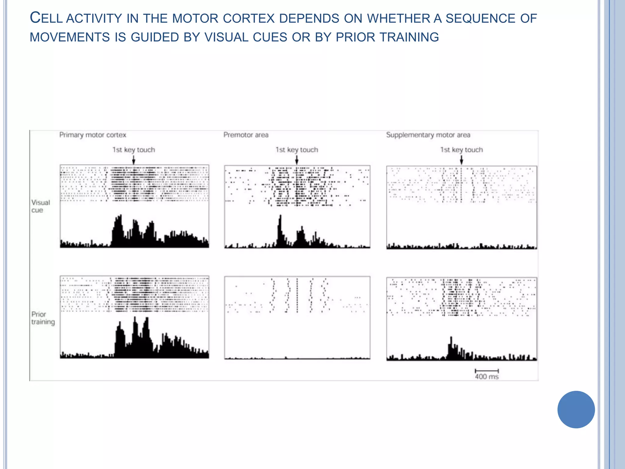 Motor system overview 2011 | PPTX