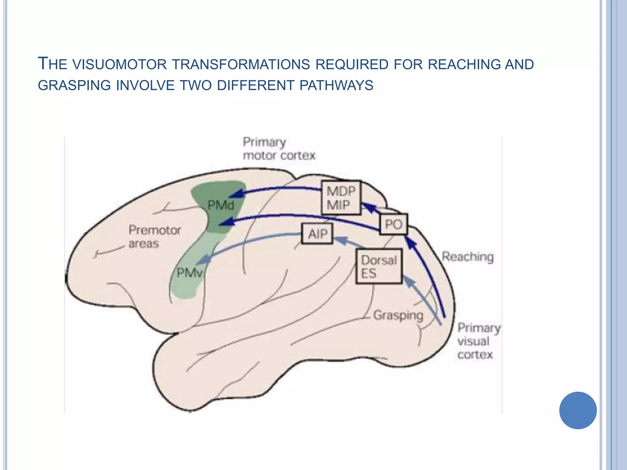 Motor system overview 2011 | PPTX
