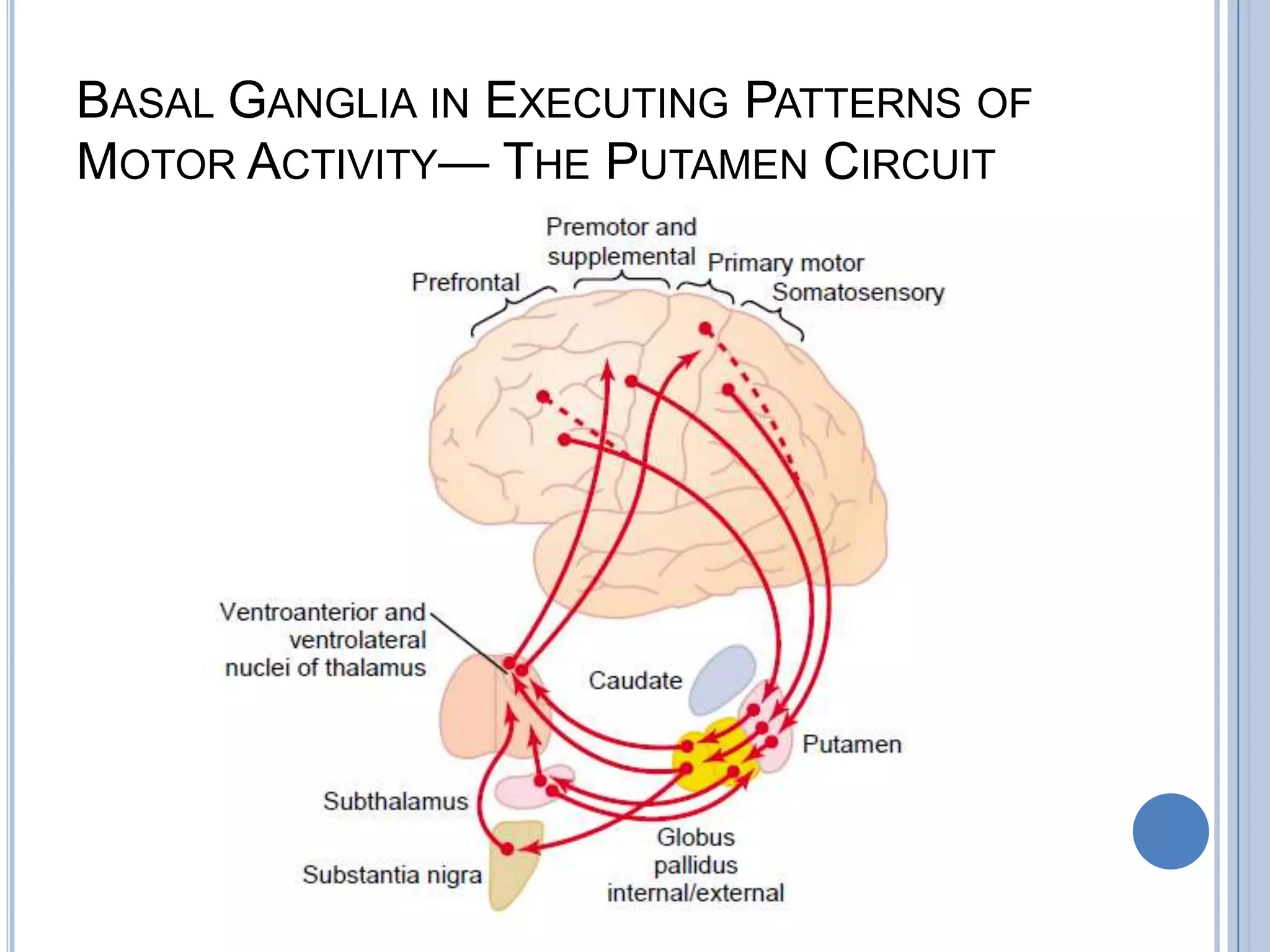 Motor system overview 2011 | PPTX