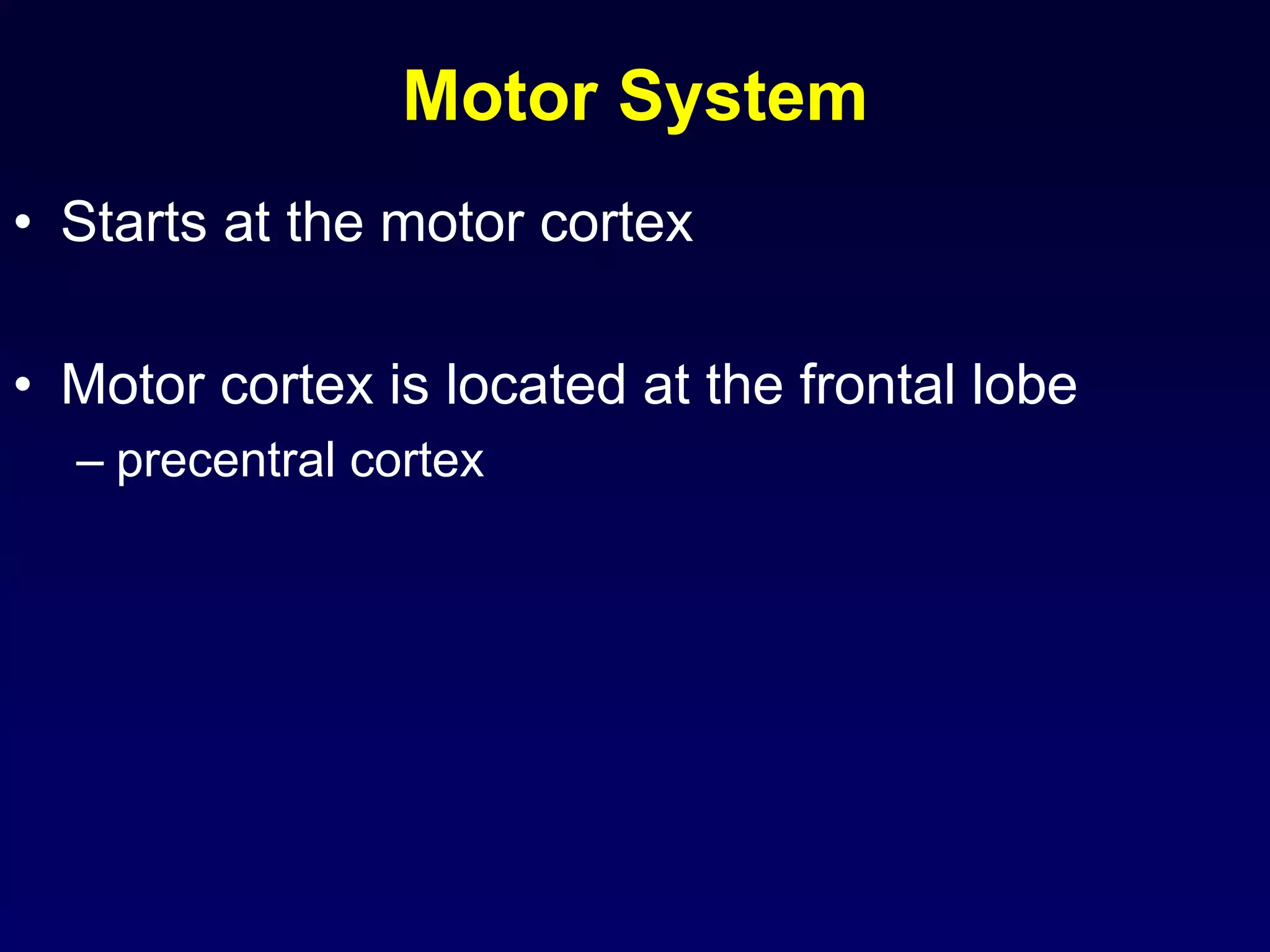 Motor system pathways for students | PPTX