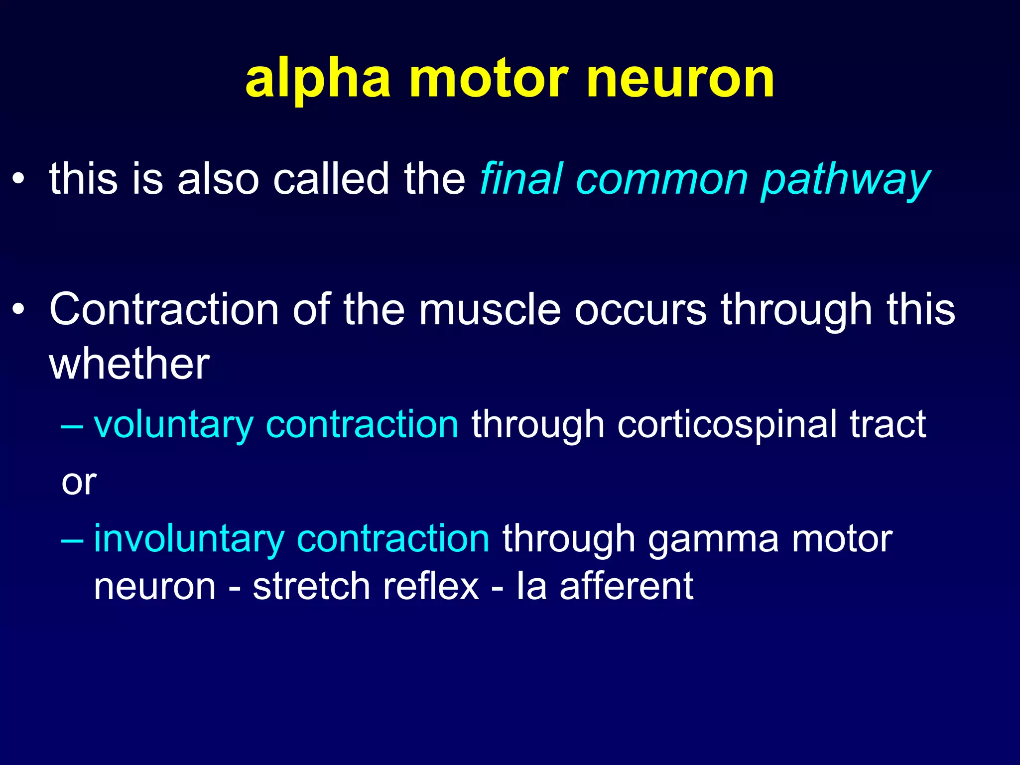 Motor system pathways for students | PPTX