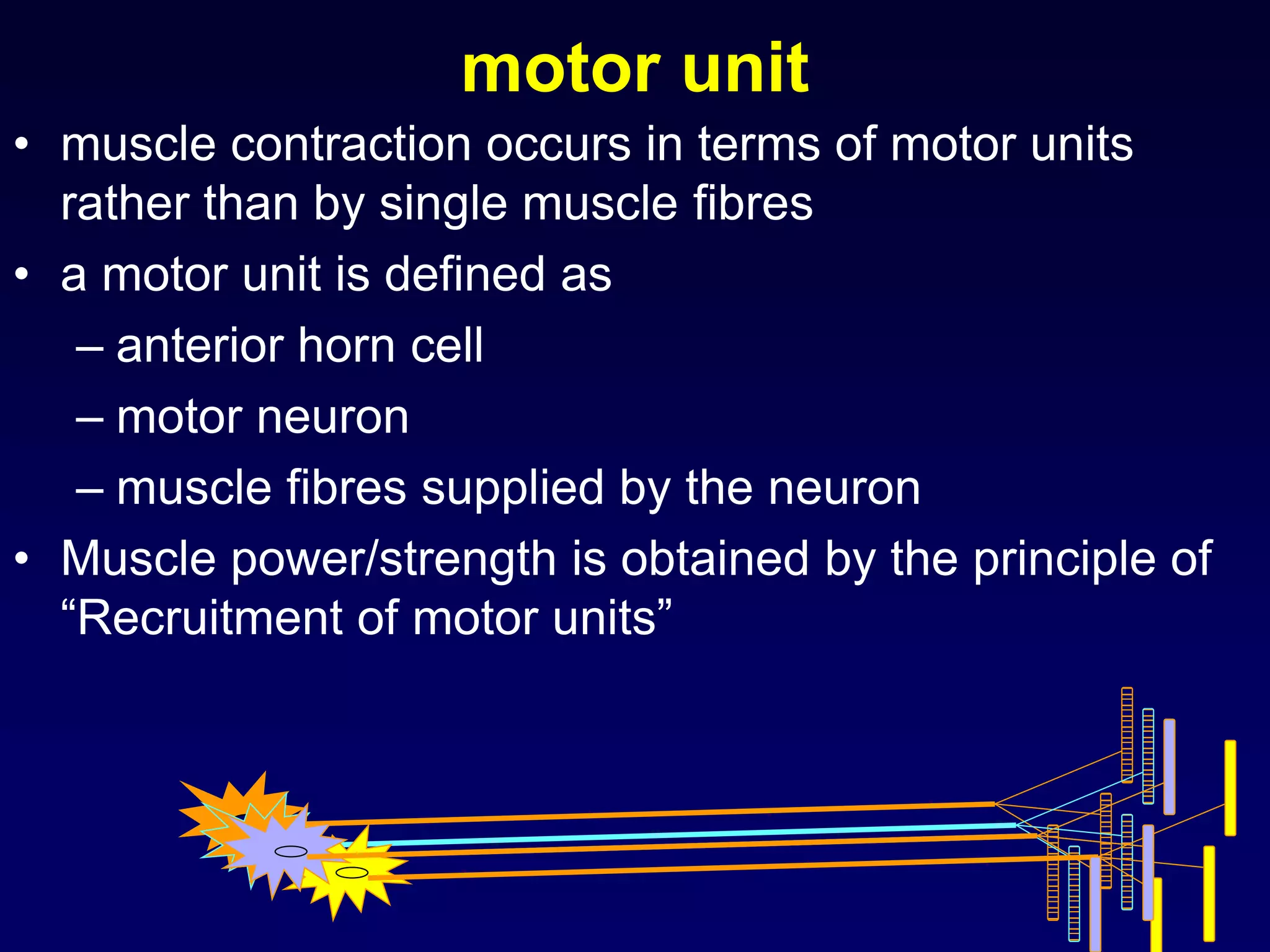 Motor system pathways for students | PPTX
