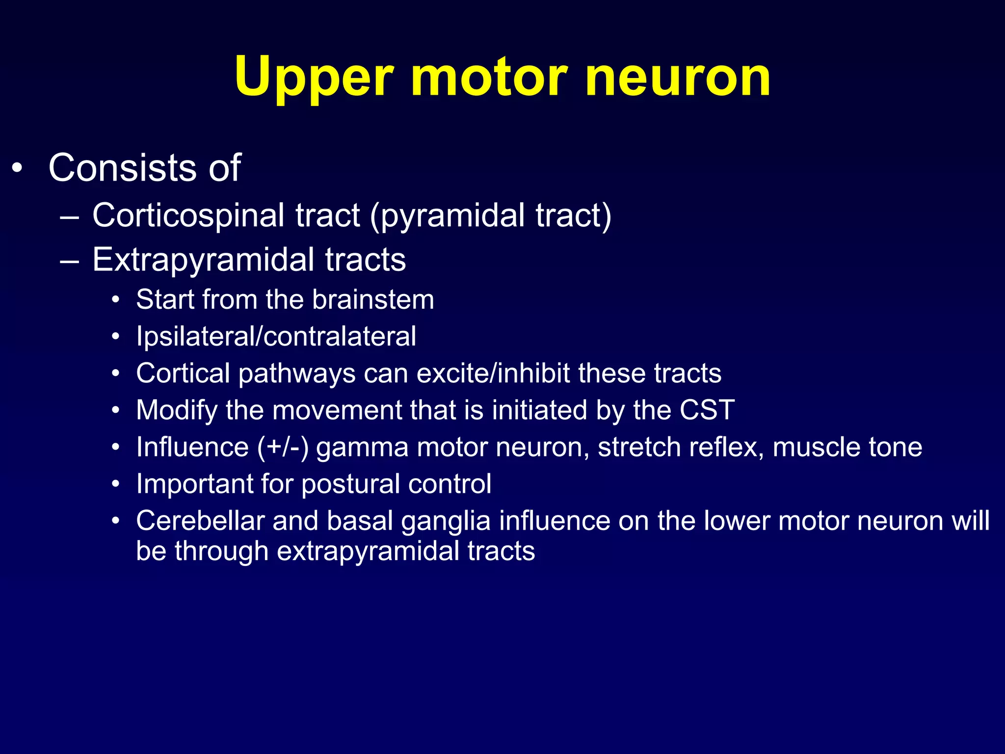Motor system pathways for students | PPTX