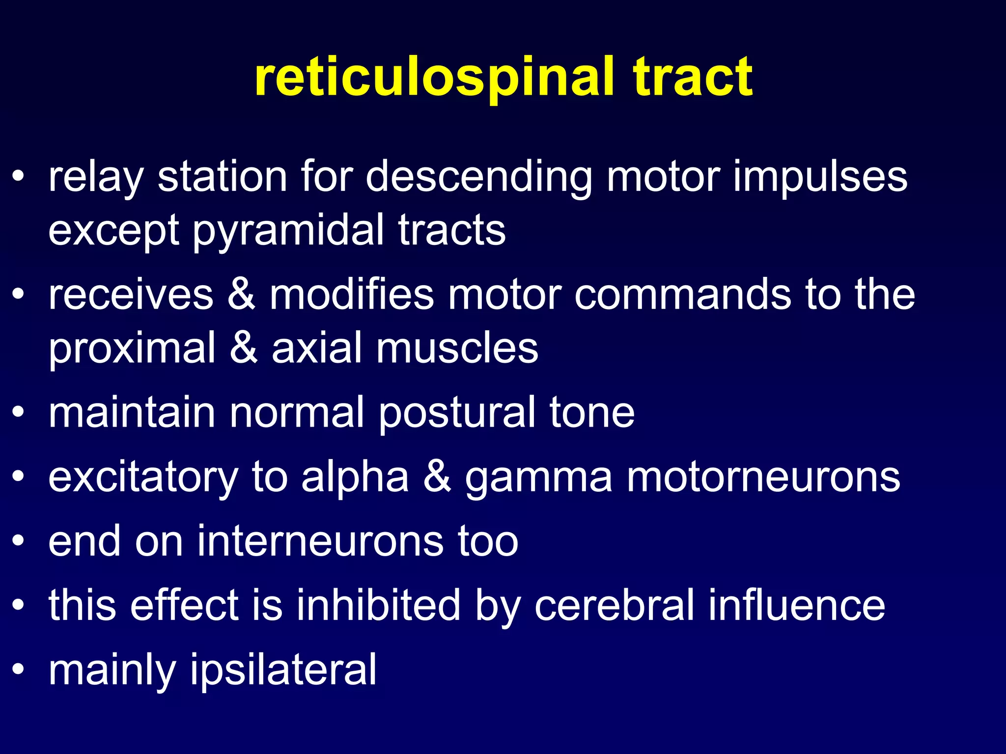 Motor system pathways for students | PPTX