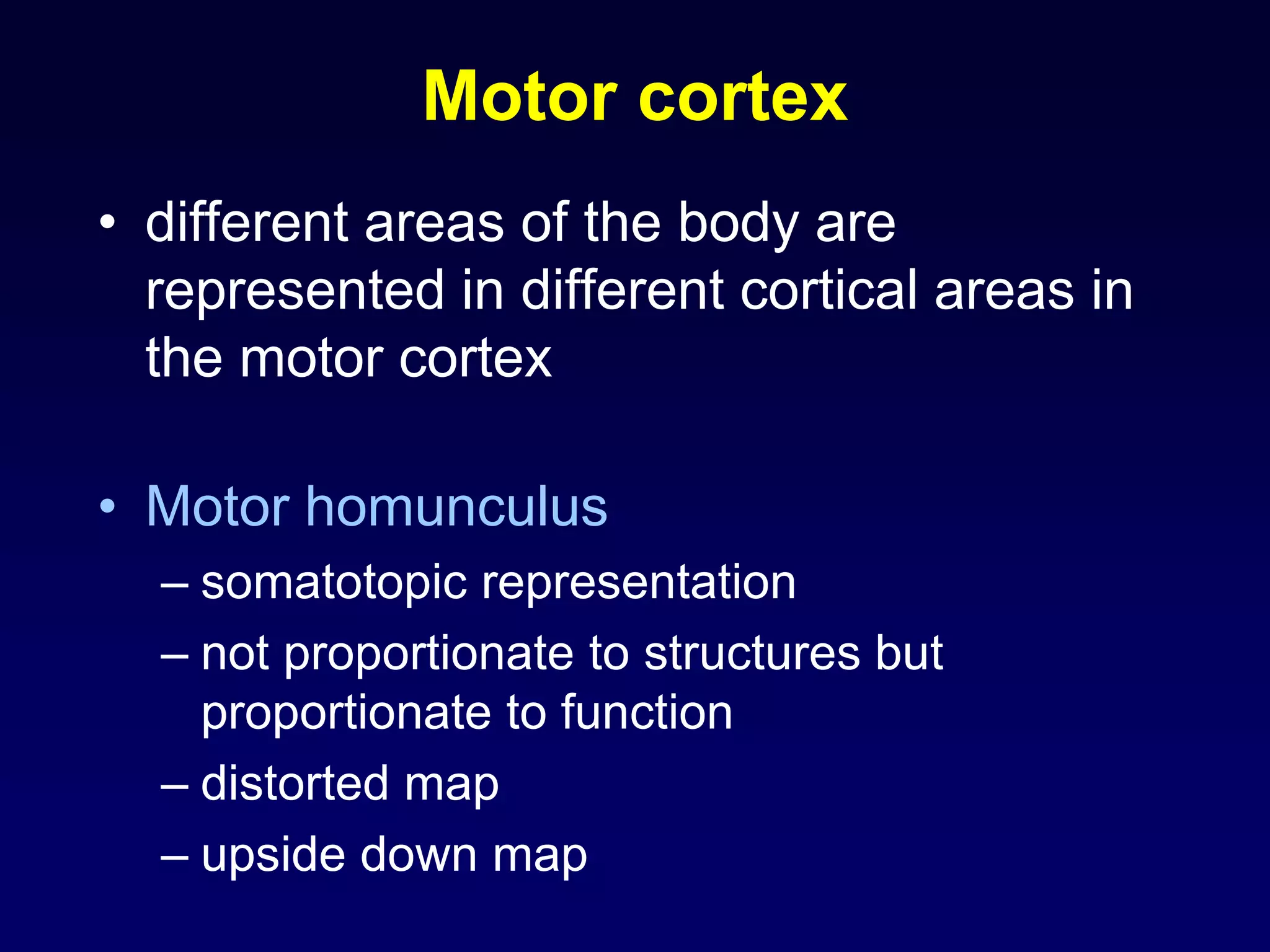 Motor system pathways for students | PPTX