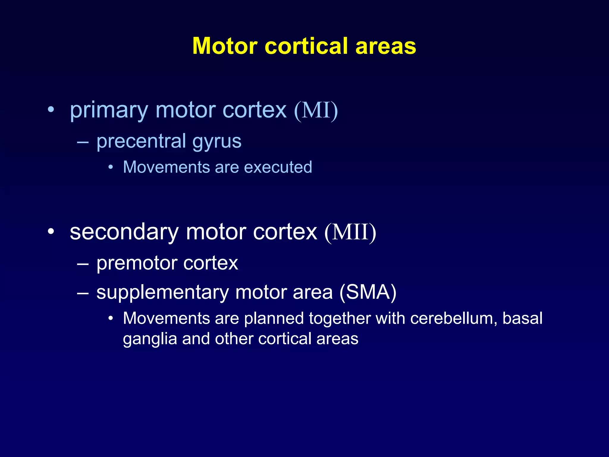 Motor system pathways for students | PPTX
