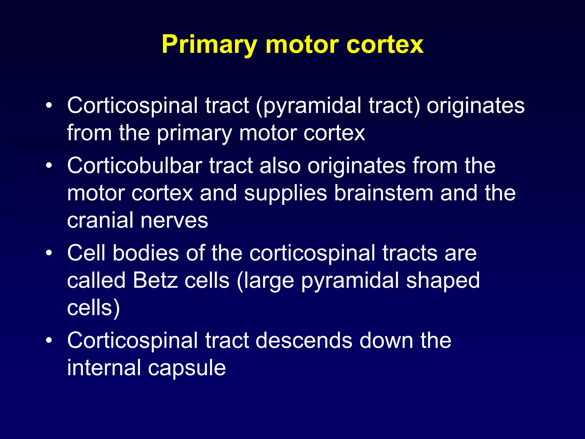 Motor system pathways for students | PPTX