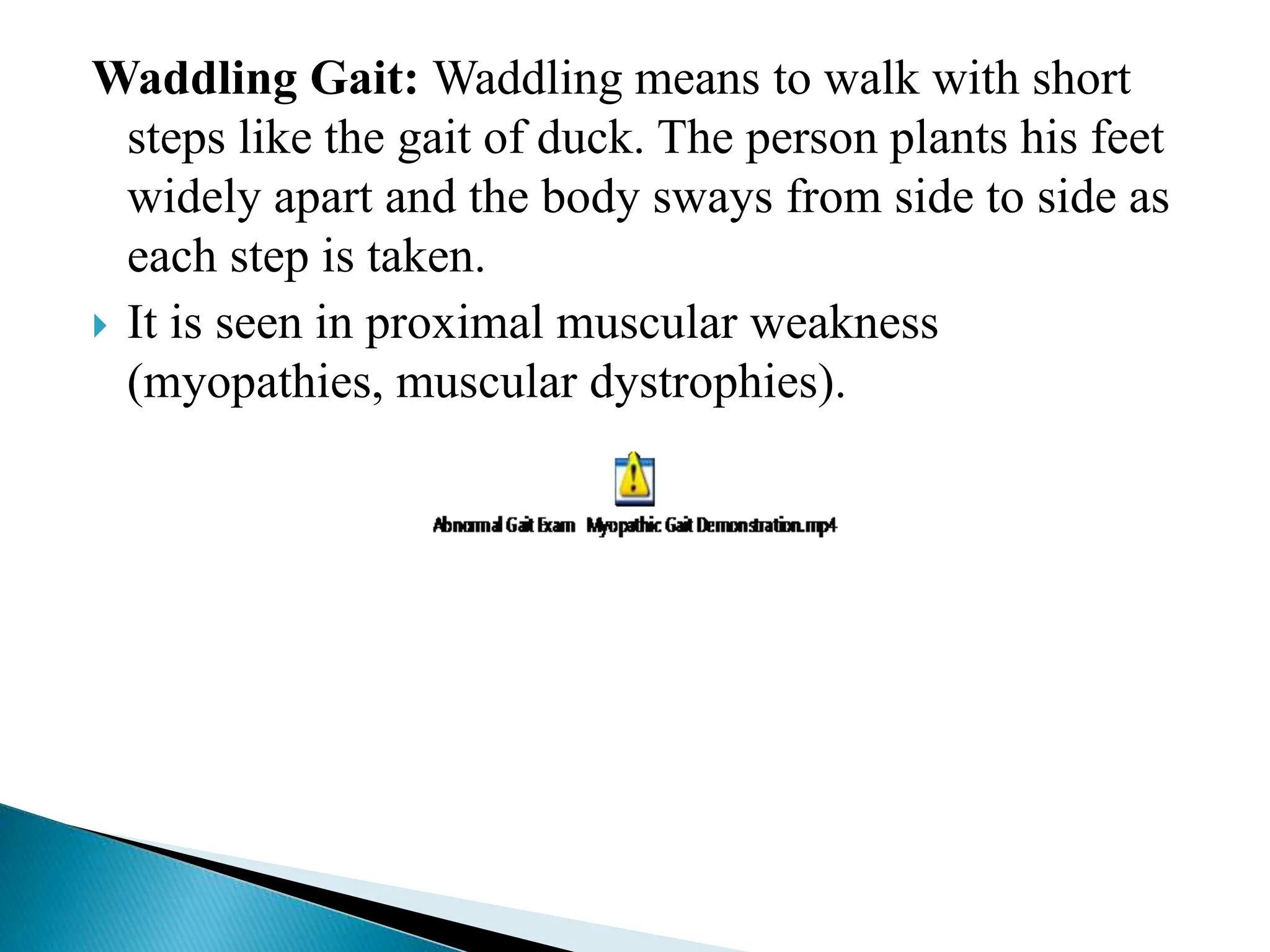 motor system examination physiology ppt.pptx