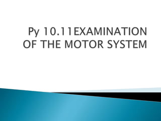 motor system examination physiology ppt.pptx