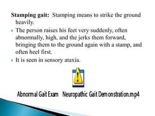 motor system examination physiology ppt.pptx