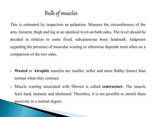motor system examination physiology ppt.pptx
