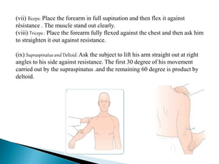 motor system examination physiology ppt.pptx