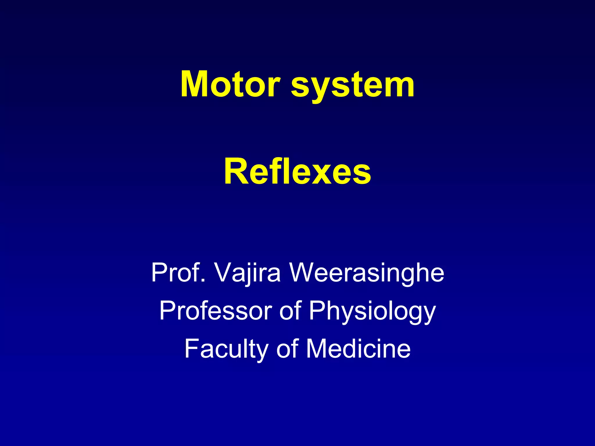 Motor system reflexes for students | PPTX