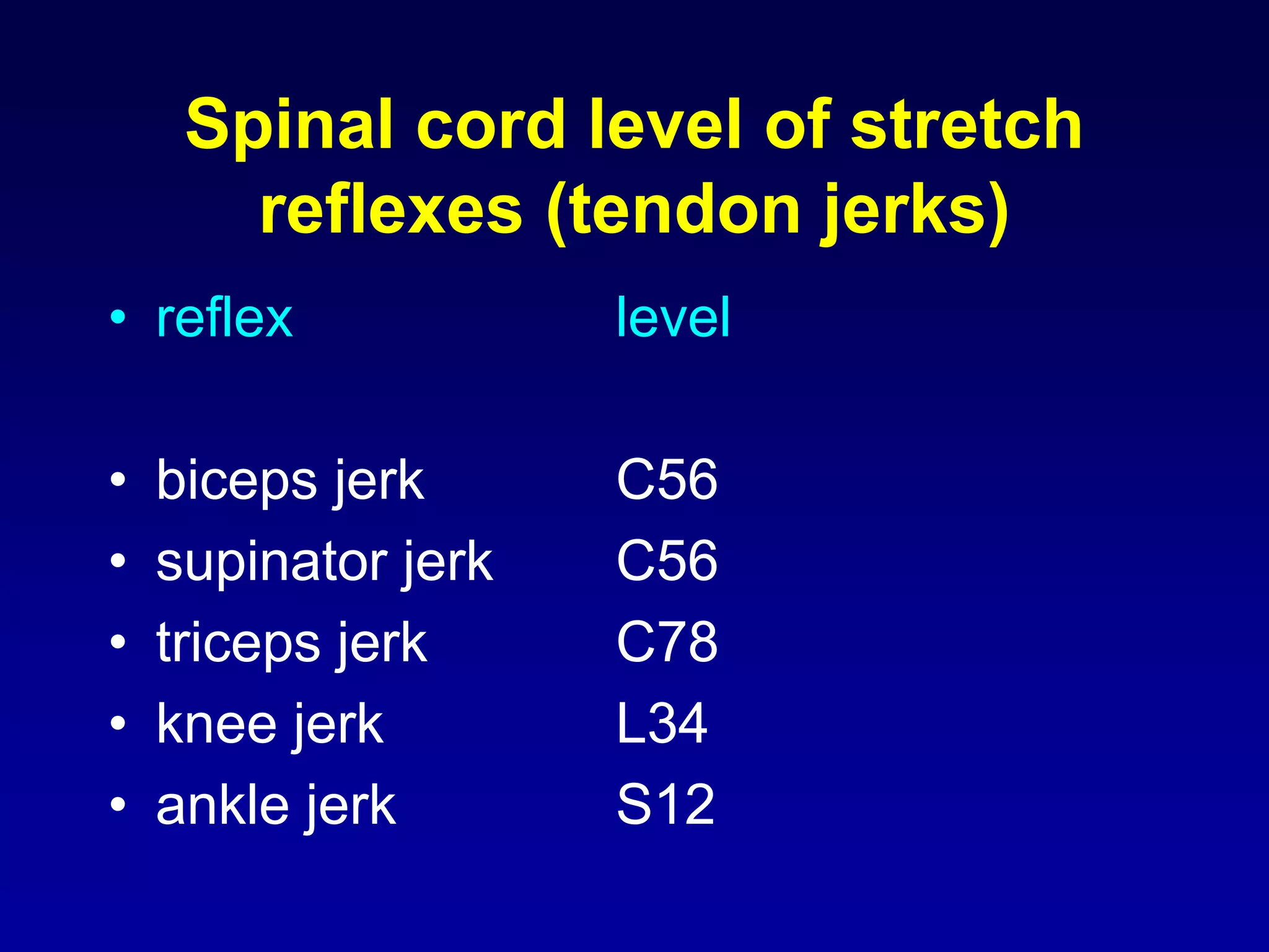 Motor system reflexes for students | PPTX