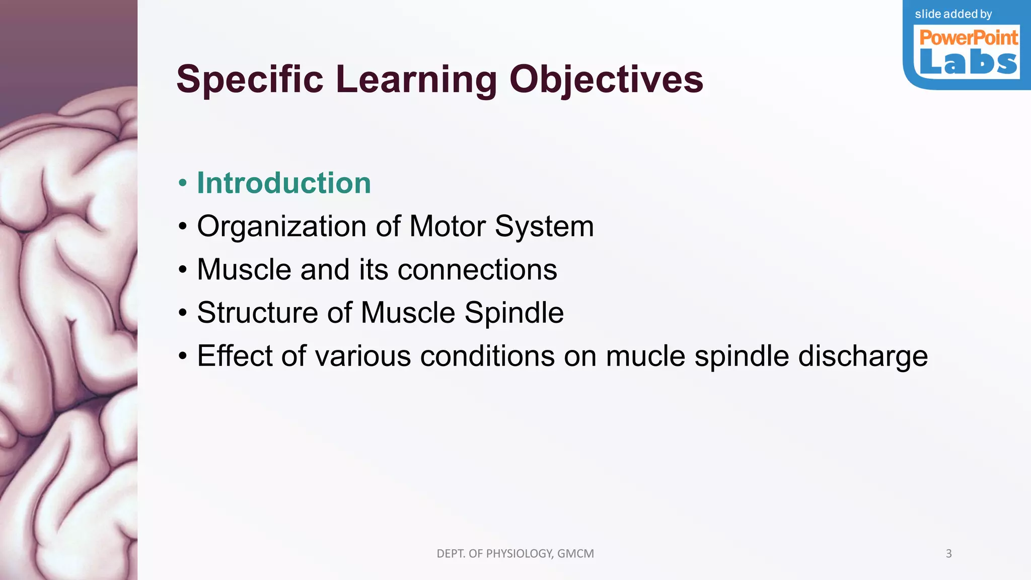 Motor System | PDF
