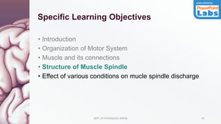 Motor System | PDF